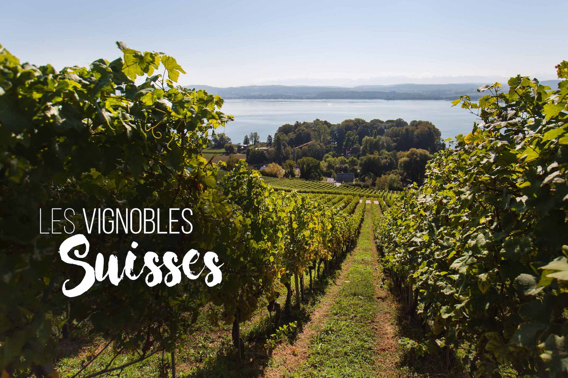 Canton de Vaud 1 - On met les voiles | Blog voyage en France et autour ...