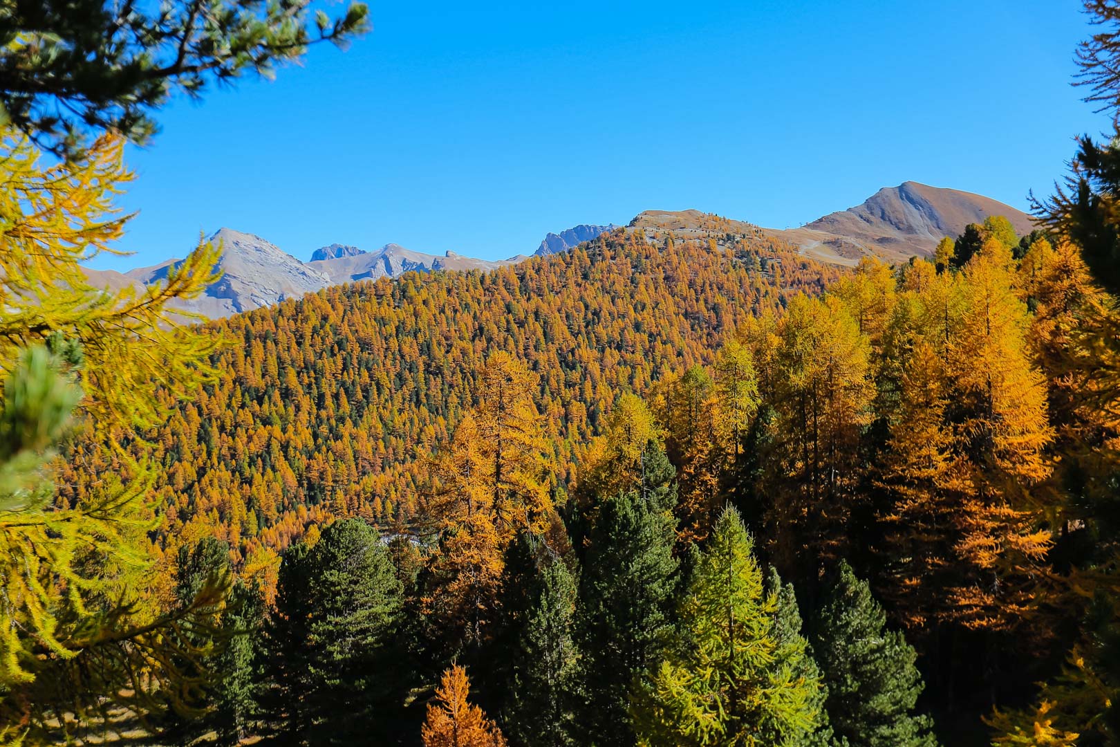 queyras automne-38 - On met les voiles | Blog voyage en France et ...