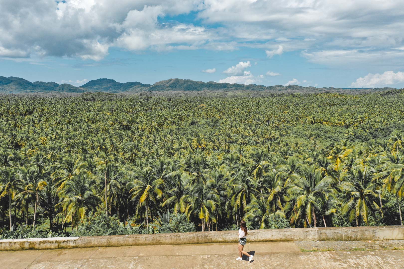 coconut view desk siargao - On met les voiles | Blog voyage en France ...