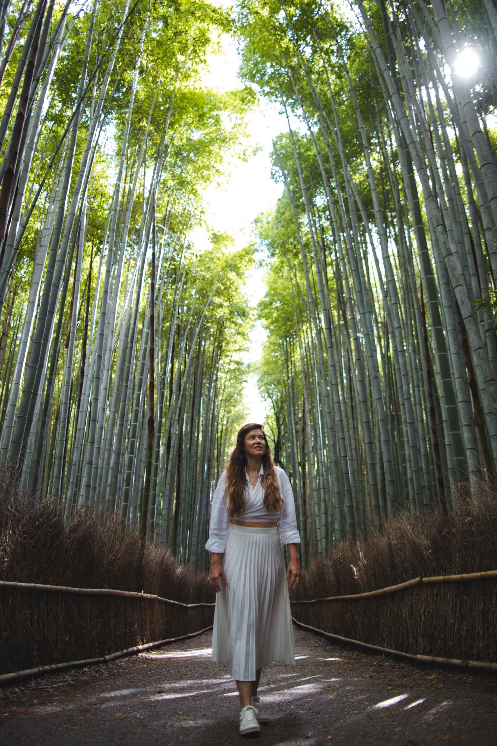 Japon-610 - On met les voiles | Blog voyage en France et autour du monde
